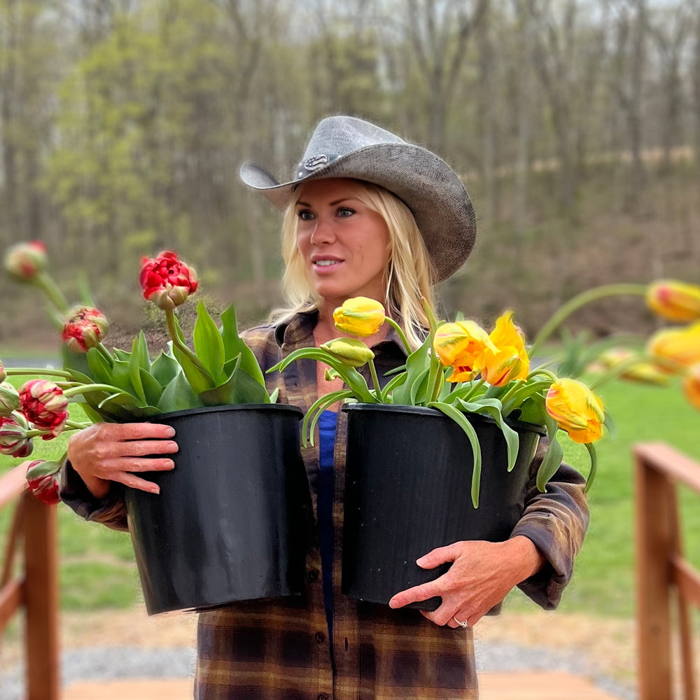 Western Cowboy Hats | Gone Country Hats